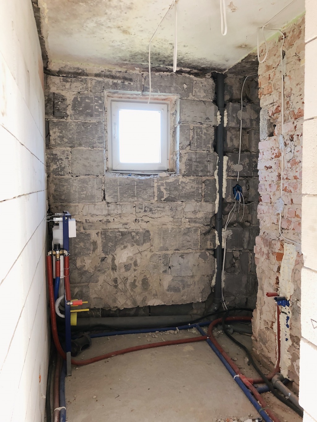 Bathroom Renovation In Progress – Zaneta Baran